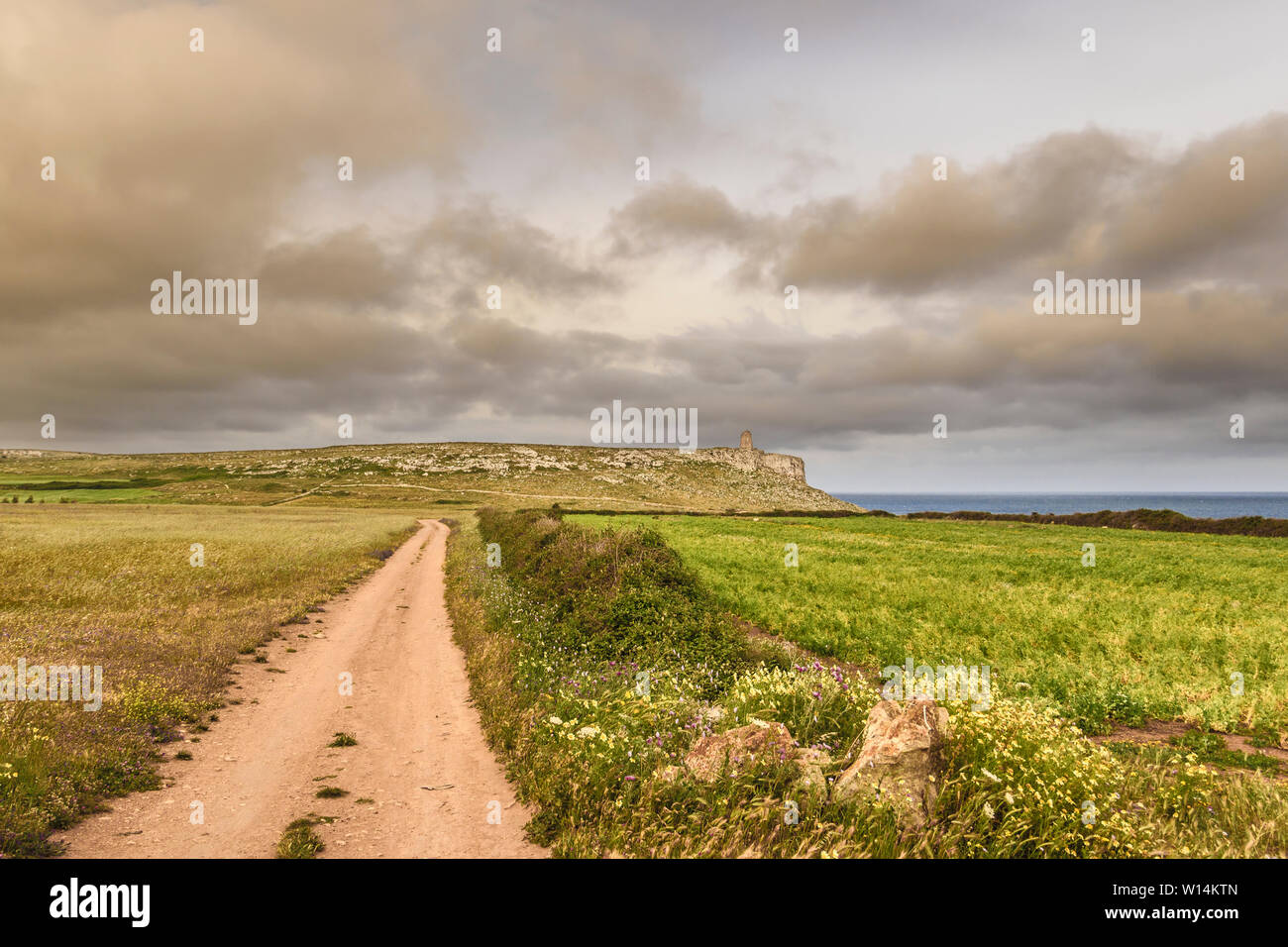 The most beautiful landscape of Italy: Salento, Apulia. In the ...