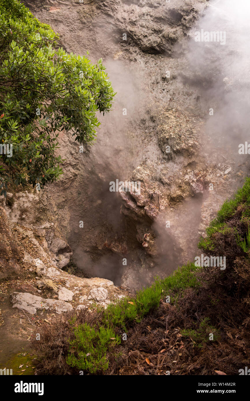 Steam from the hot volcanic springs in the thermal park, jetting among ...