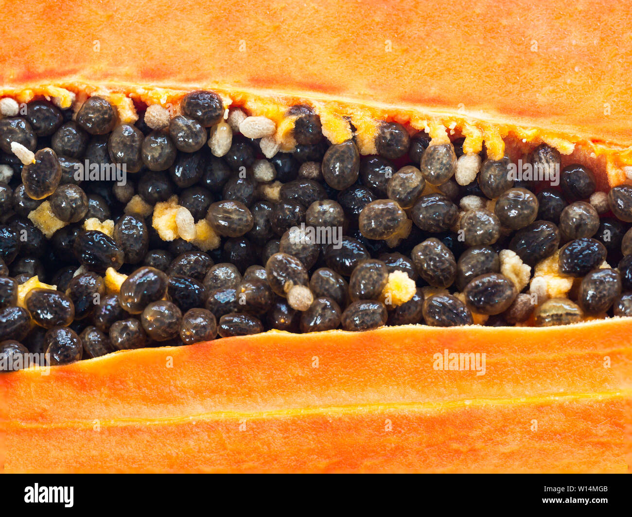 Papaya seeds top view hi-res stock photography and images - Alamy