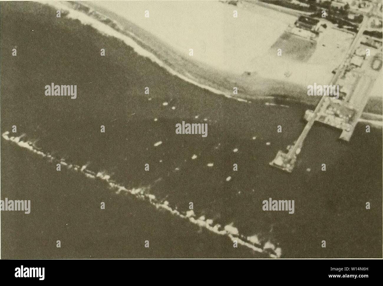 Archive image from page 21 of Detached breakwaters for shore protection ...