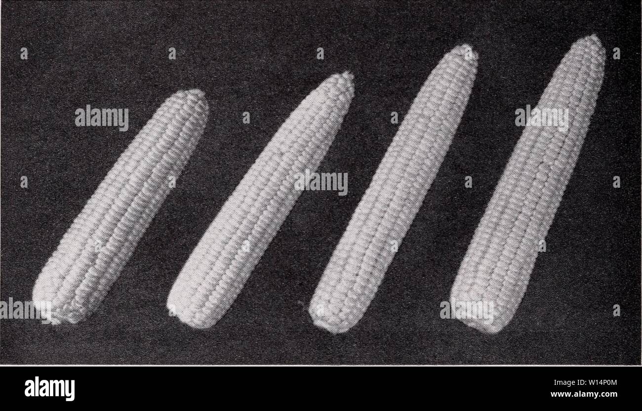 Height x diameter length hi-res stock photography and images - Alamy
