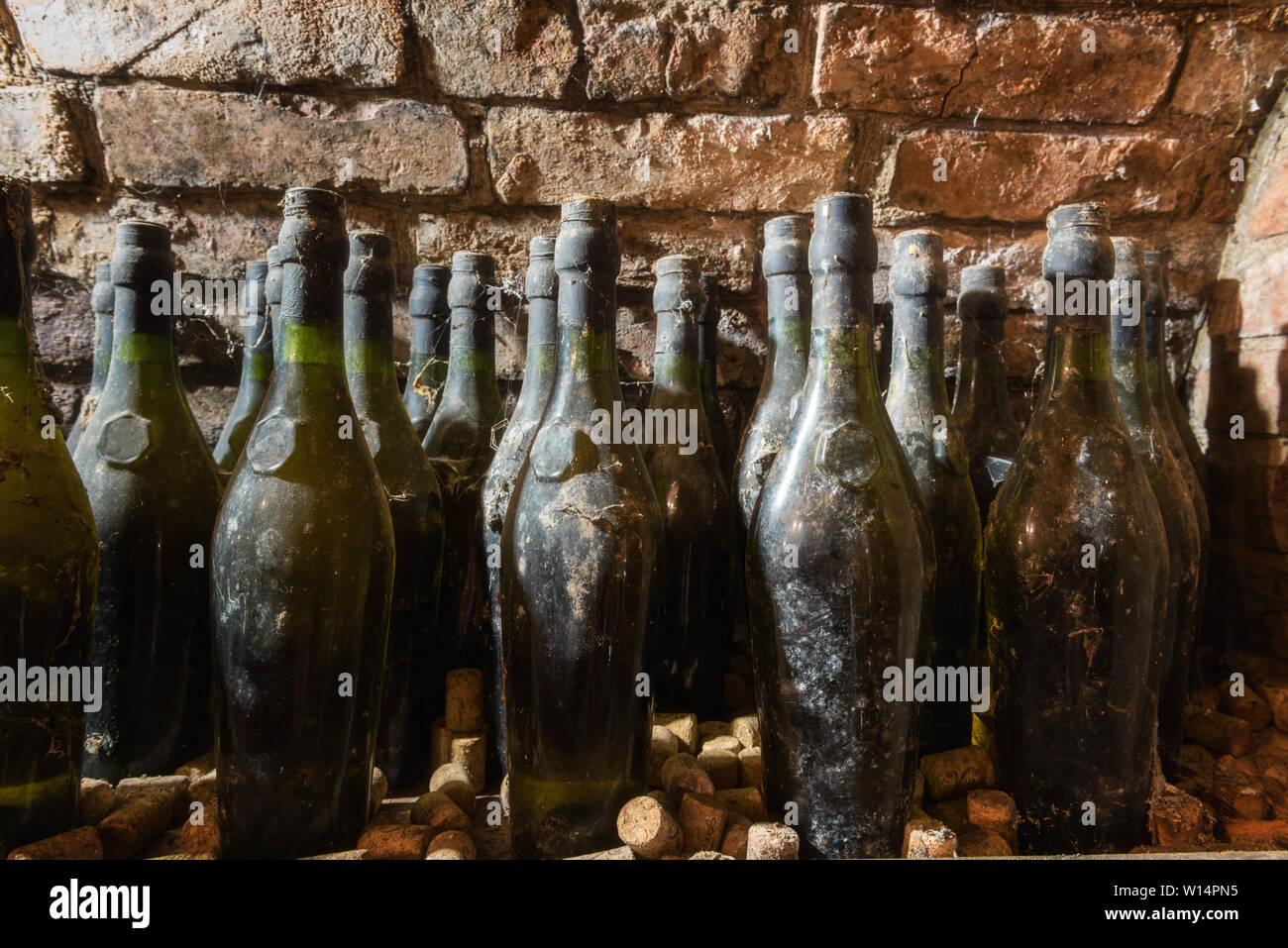 Spider cellar cobweb hi-res stock photography and images - Alamy