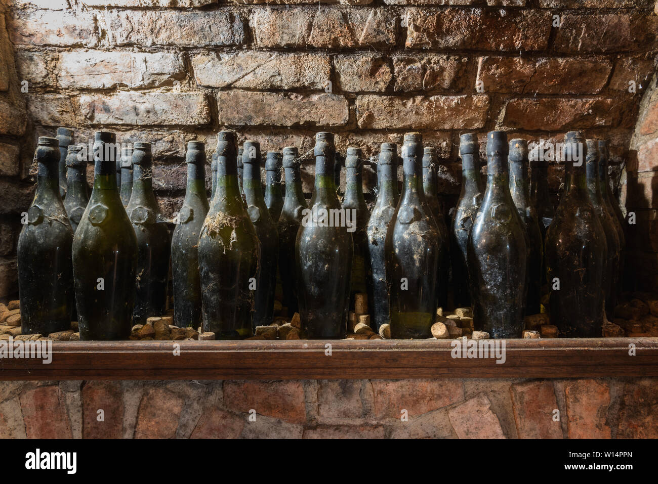 Spider cellar cobweb hi-res stock photography and images - Alamy