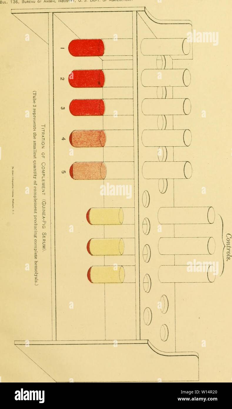 Archive image from page 24 of The diagnosis of glanders by. The ...