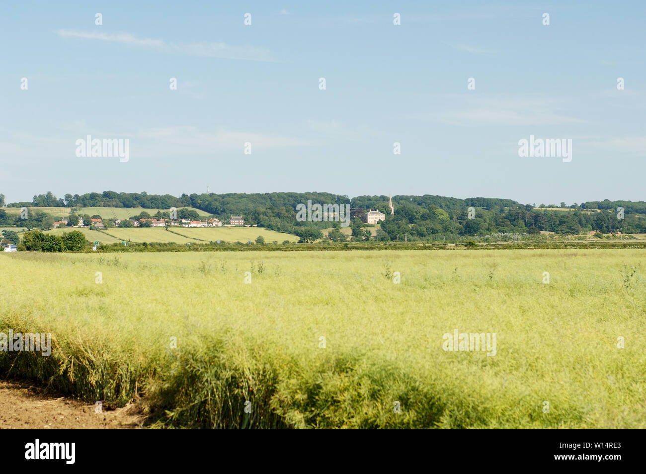 Leadenham hall hi-res stock photography and images - Alamy