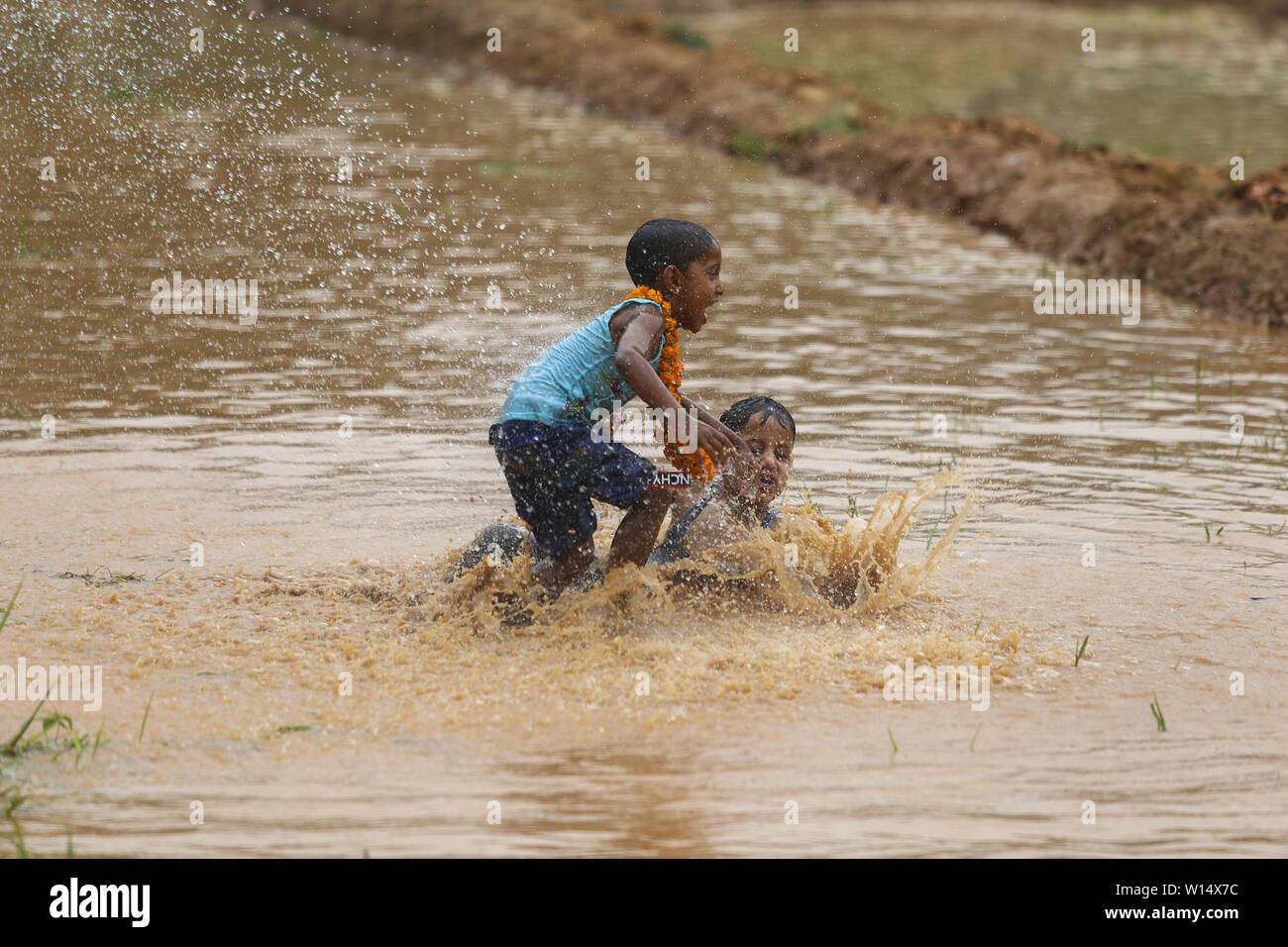 Kids play in muddy water during a Festival.Farmers celebrate National ...