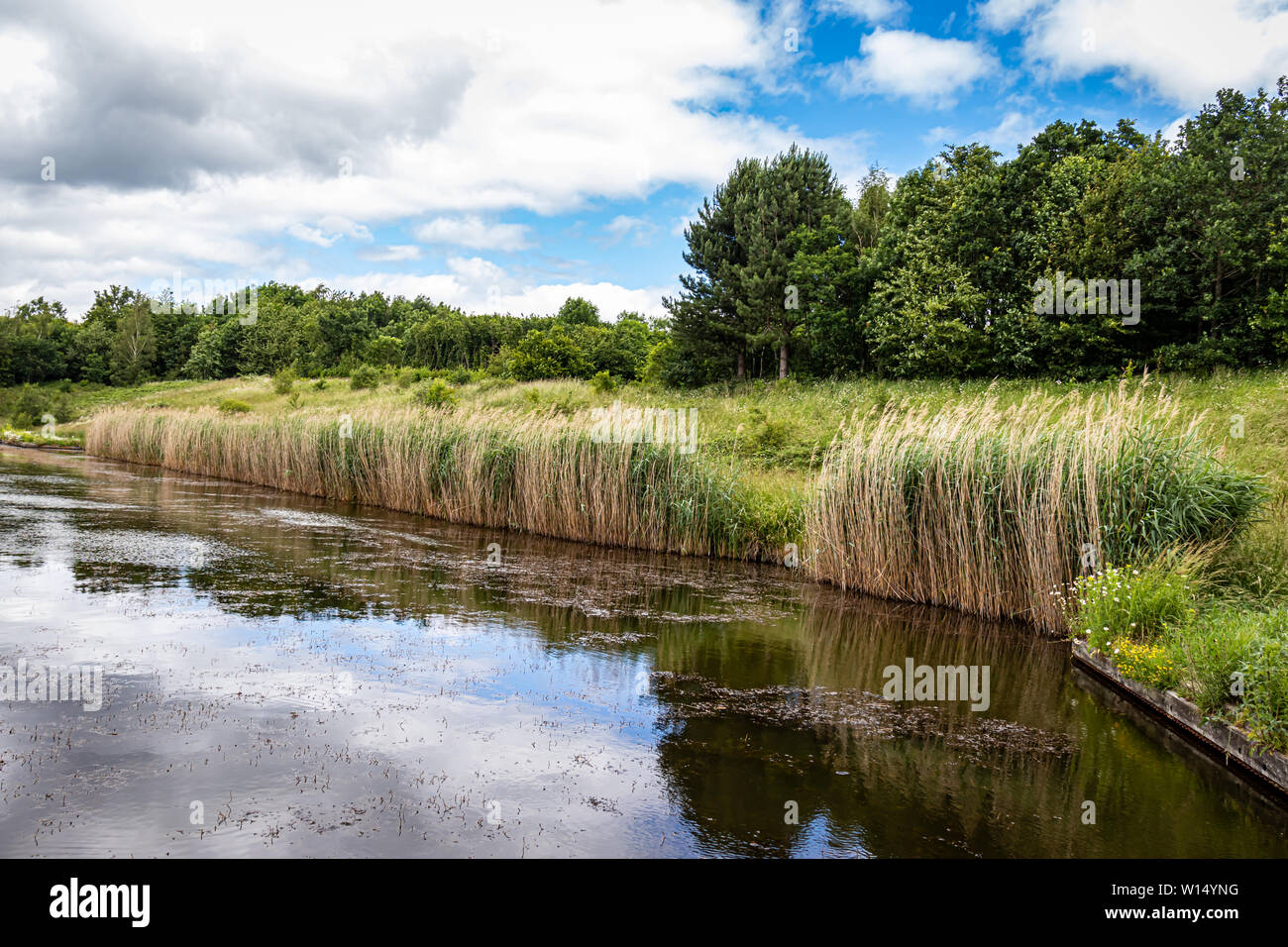 Summertime Scenic Views of Ashby Canal at Moira Furnace near Conkers ...