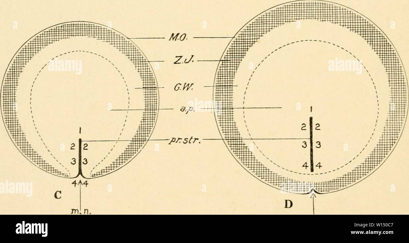 Concentric zones hi-res stock photography and images - Alamy