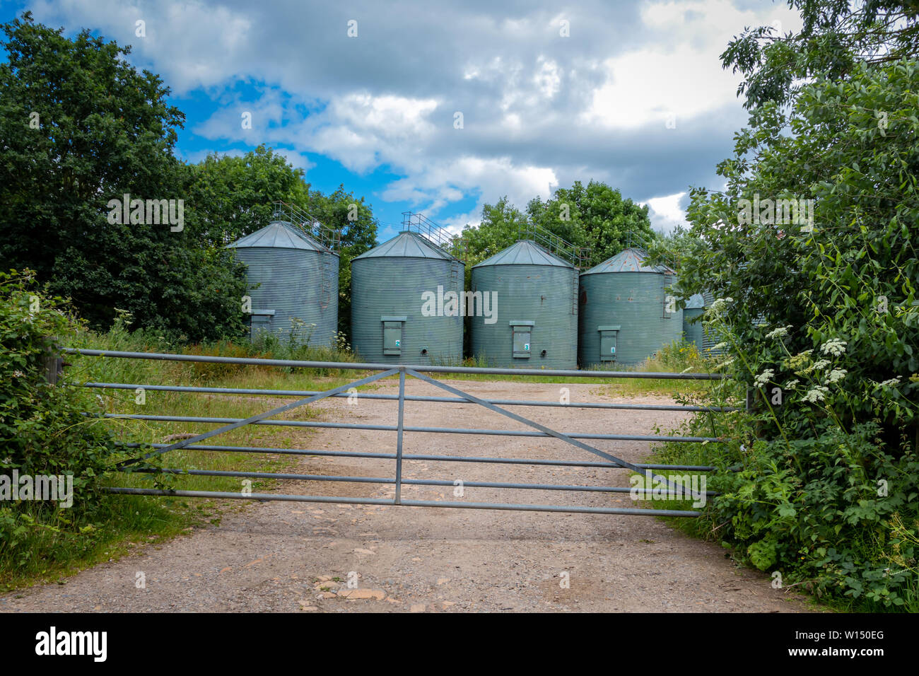A Row of Green Metal Grain Storage Silo Tanks on a Rural Farm in ...