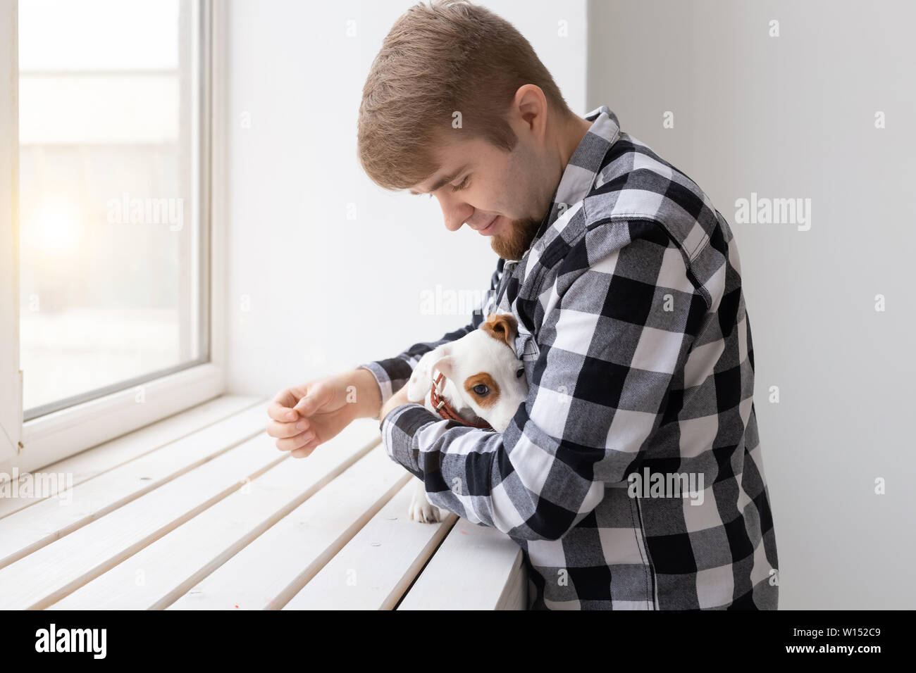 people, pets and animals concept - young man hugging puppy on white ...