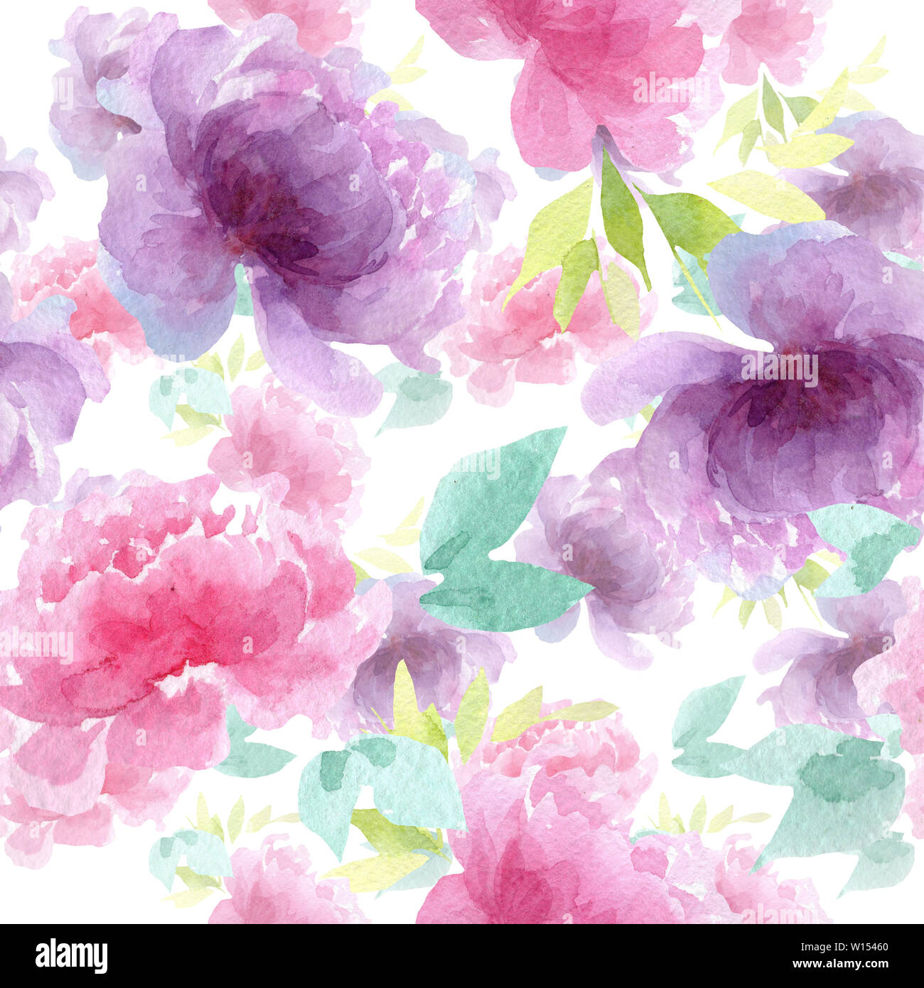 Peony floral botanical flowers. Watercolor background illustration set ...