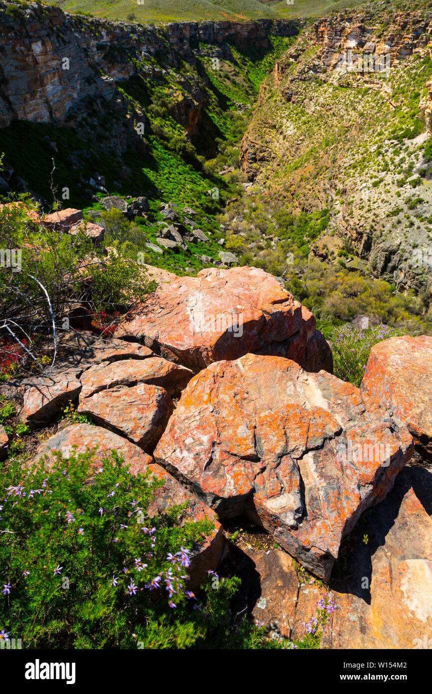 Waterfall, Nieuwoudtville, Namaqualand, Northern Cape province, South ...