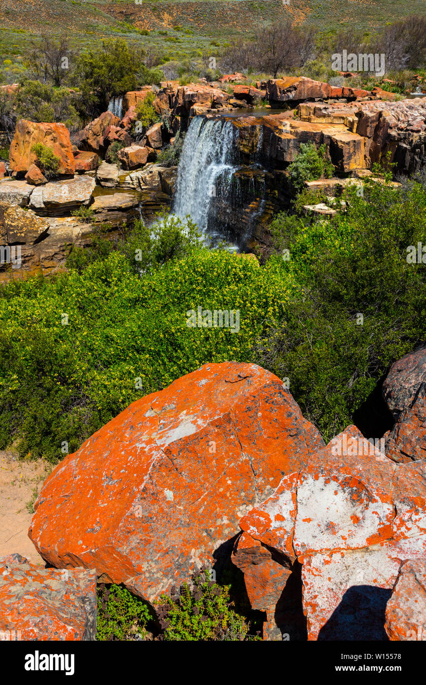 Waterfall, Nieuwoudtville, Namaqualand, Northern Cape province, South ...