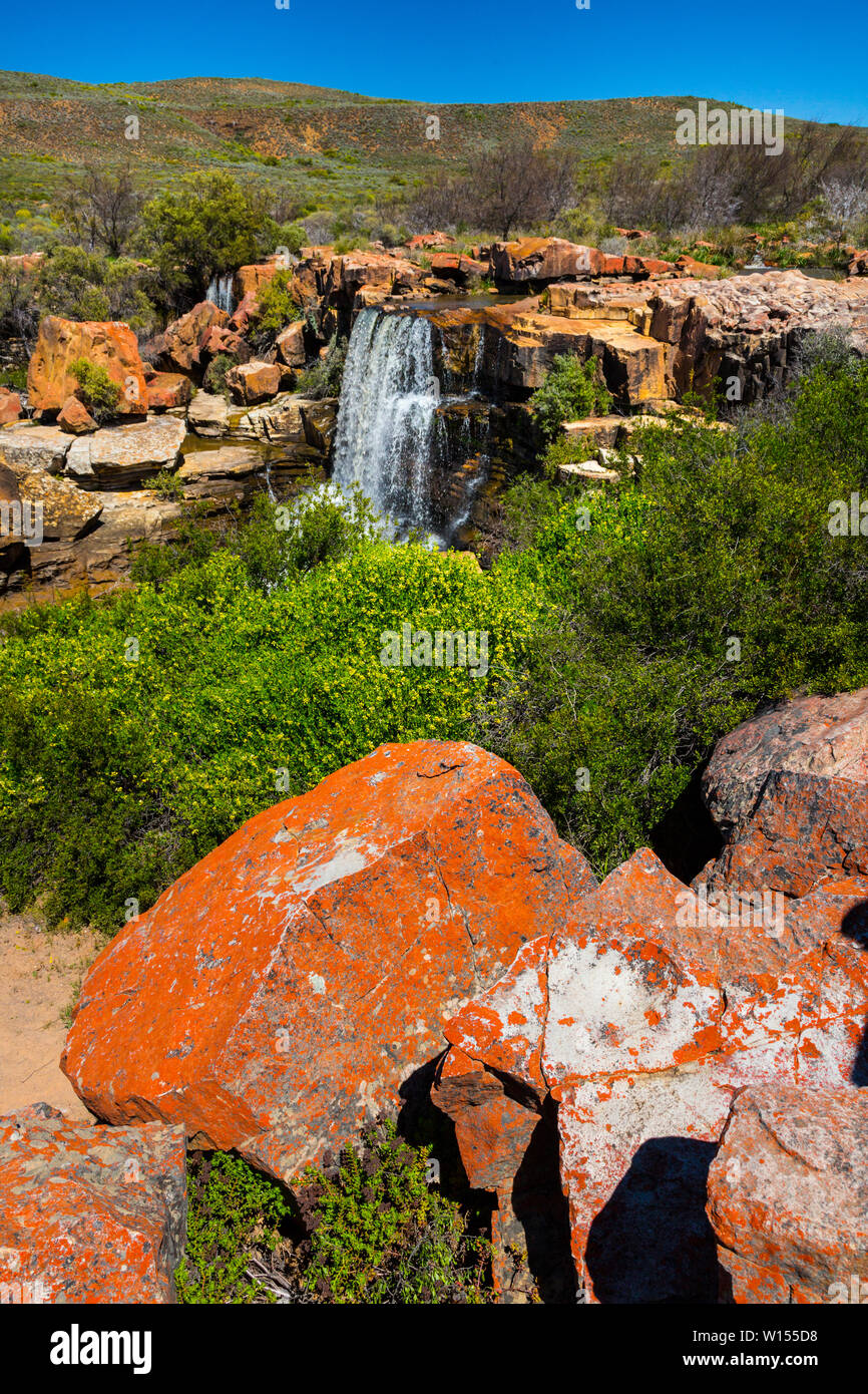 Waterfall, Nieuwoudtville, Namaqualand, Northern Cape province, South ...