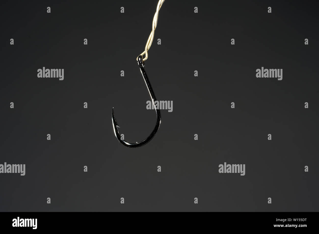 Fishhook photographed in different variations and sizes in the studio ...