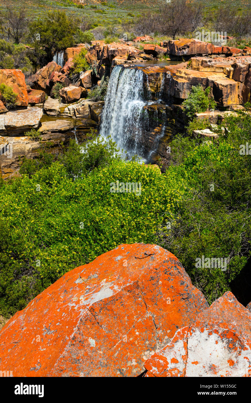 Waterfall, Nieuwoudtville, Namaqualand, Northern Cape province, South ...