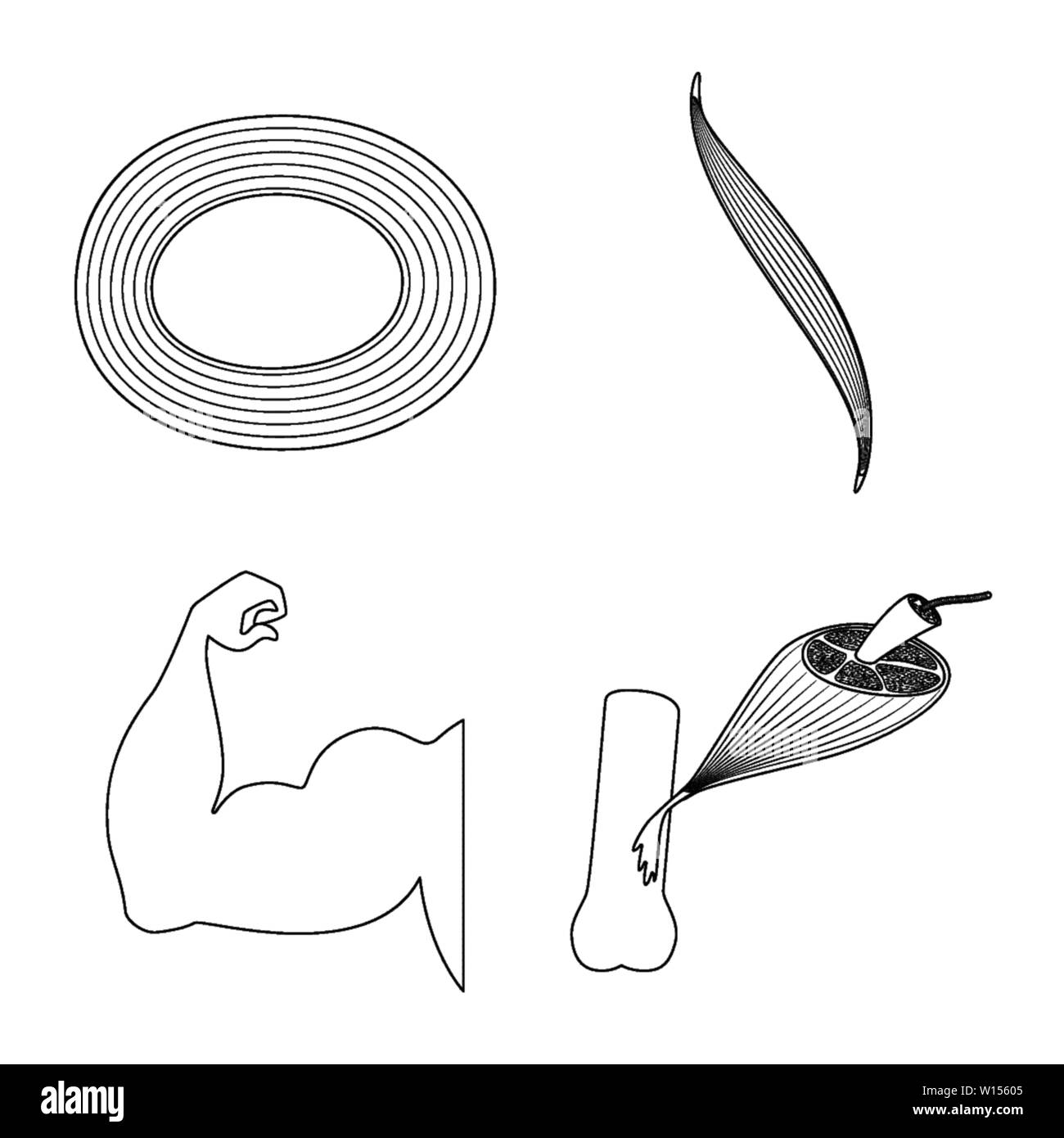 Vector illustration of fiber and muscular logo. Set of fiber and body ...
