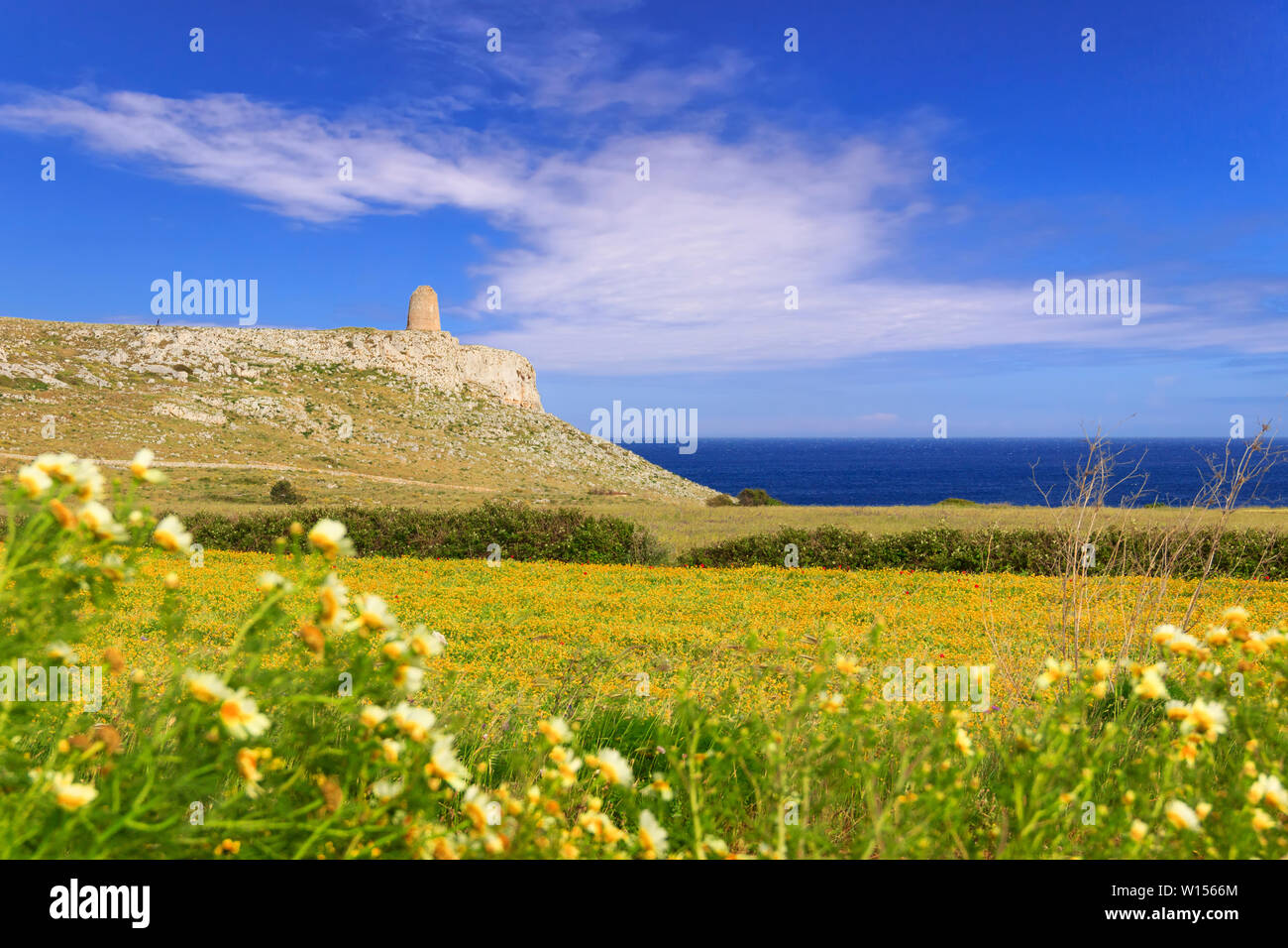 The most beautiful landscape of Italy:Salento, Apulia. Springtime ...