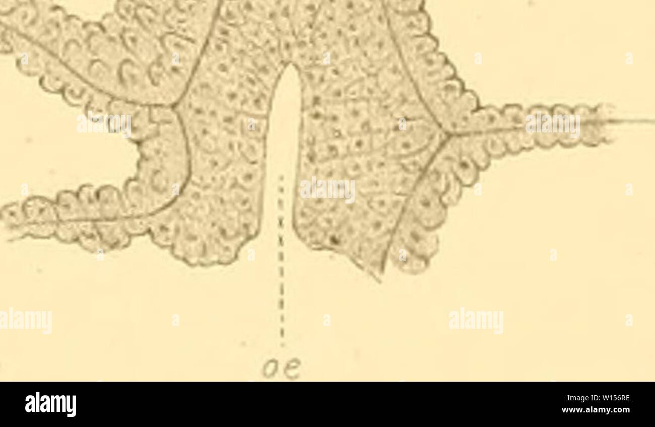 Ltj hi-res stock photography and images - Alamy