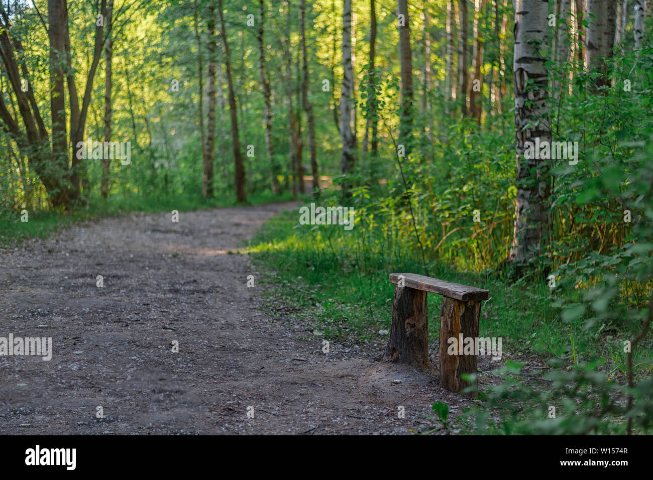 Old bench in the forest hi-res stock photography and images - Alamy