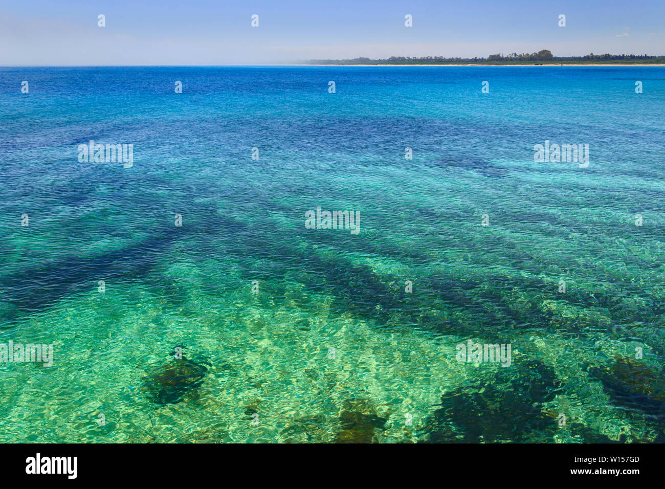 Summer seascape,Apulia coast: Nature Reserve of Torre Guaceto ...