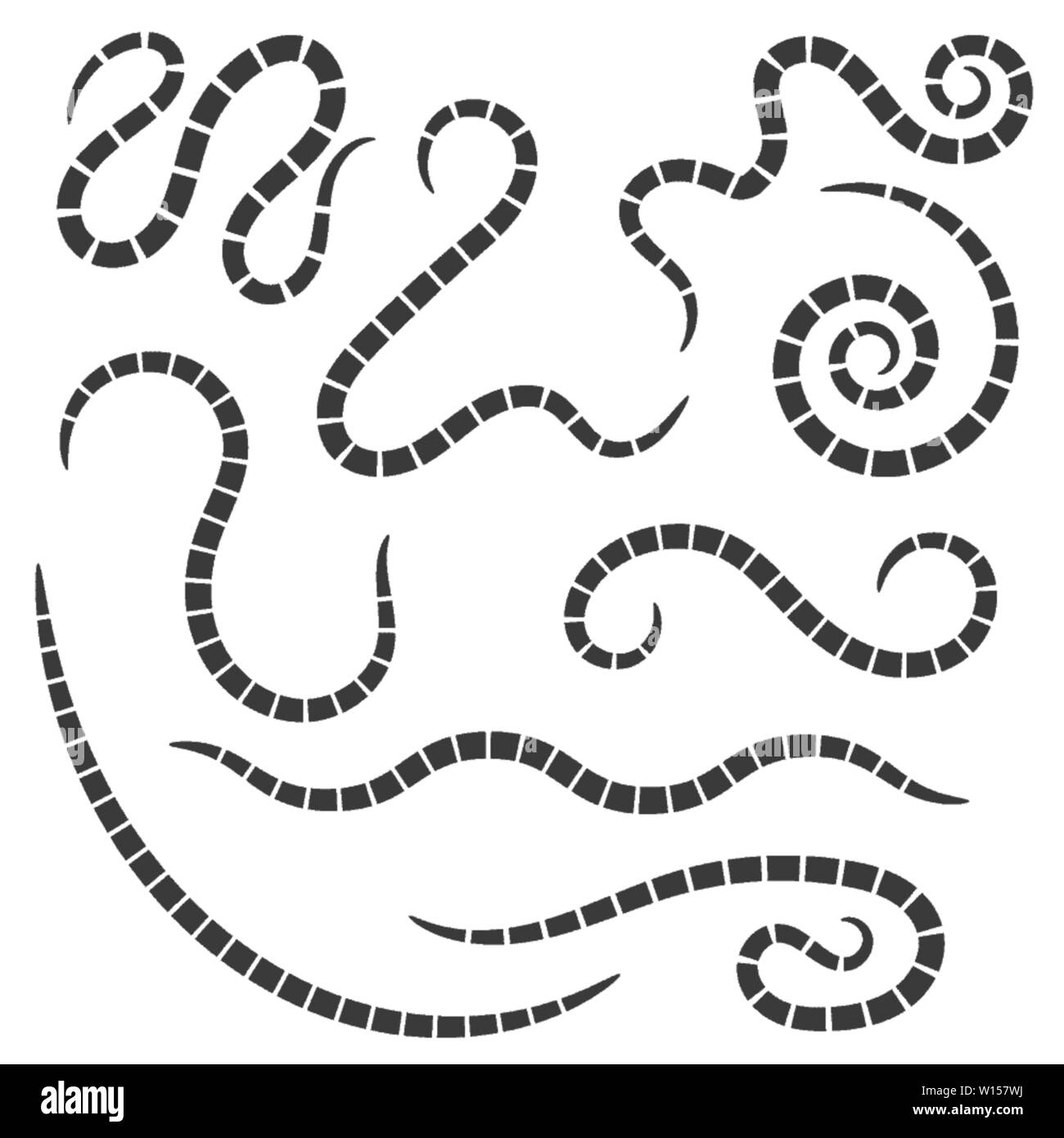 Ascarid, Helminth, Pinworm, Threadworm. Parasite Isolated on White ...