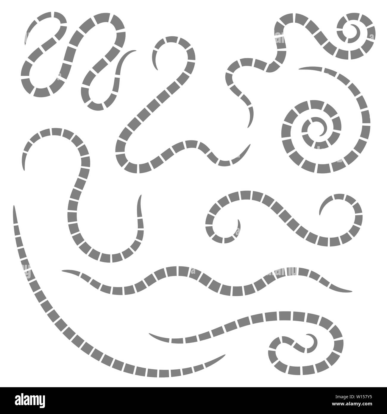 Ascarid, Helminth, Pinworm, Threadworm. Parasite Isolated on White ...