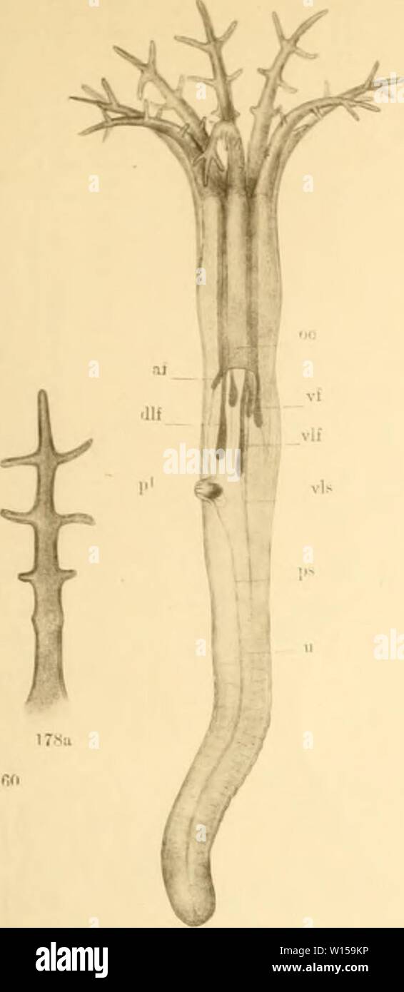 1939 tram hi-res stock photography and images - Alamy