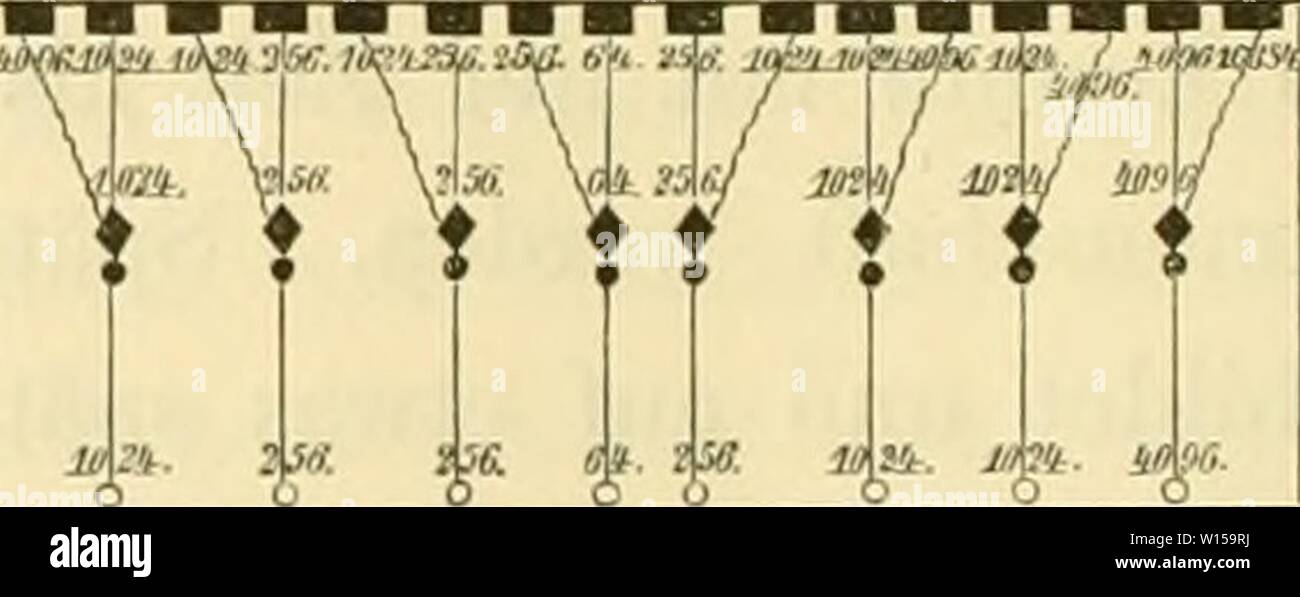 Doliolum hi-res stock photography and images - Alamy