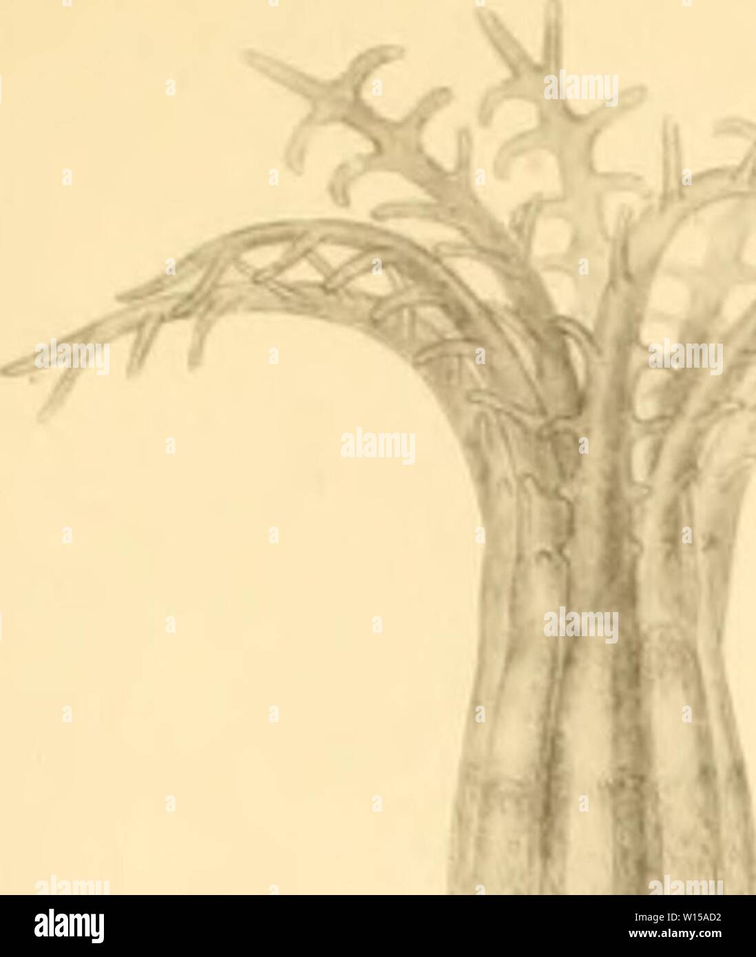 1939 tram hi-res stock photography and images - Alamy