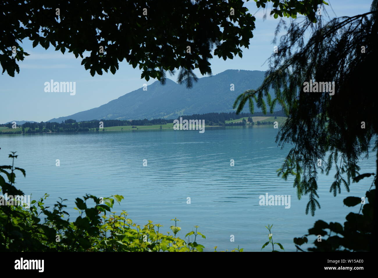 Forggensee is in Bavaria and on the shore Ludwig the Bavarian king ...