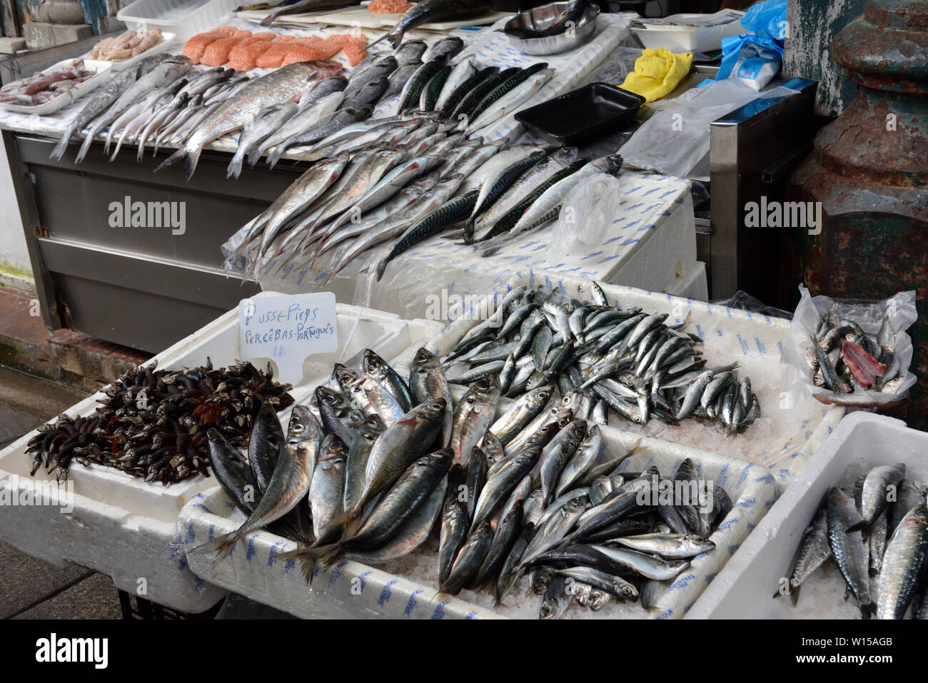 Portugal fish market porto hi-res stock photography and images - Alamy