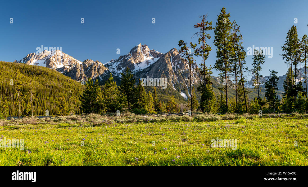 Sawtooth Mountain in the Idaho wilderness with pine trees and wild ...