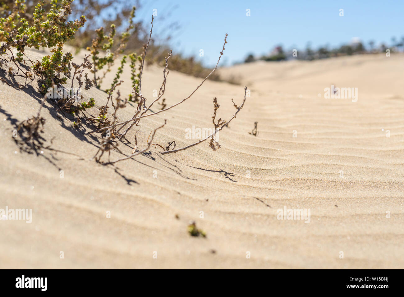Sandwaves hi-res stock photography and images - Alamy