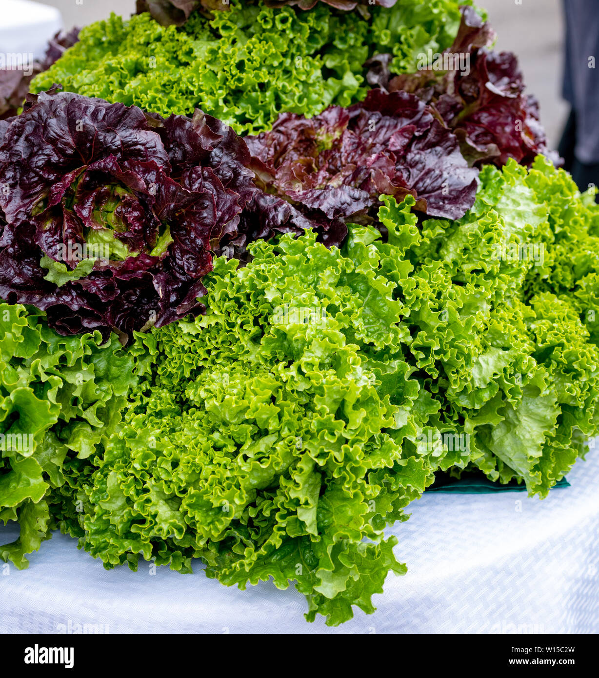 Rippled leaves of lettuce at a local famers market Stock Photo - Alamy