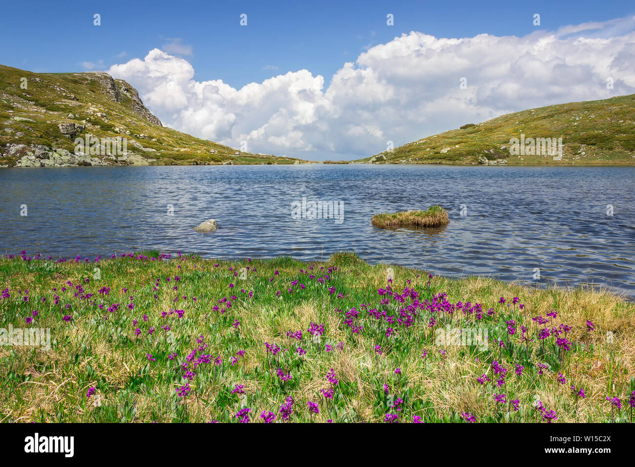 Lake side flowers hi-res stock photography and images - Alamy