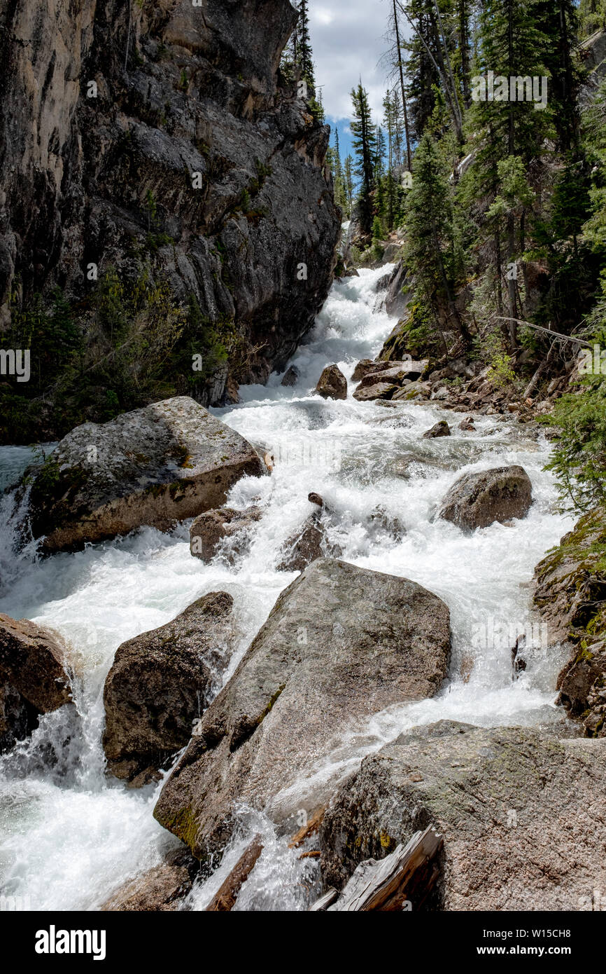 Forest surrounds a creek cascading over rocks Stock Photo - Alamy