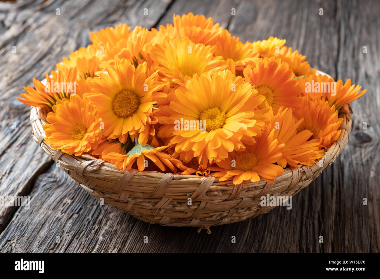 Fresh calendula flowers in a basket Stock Photo - Alamy