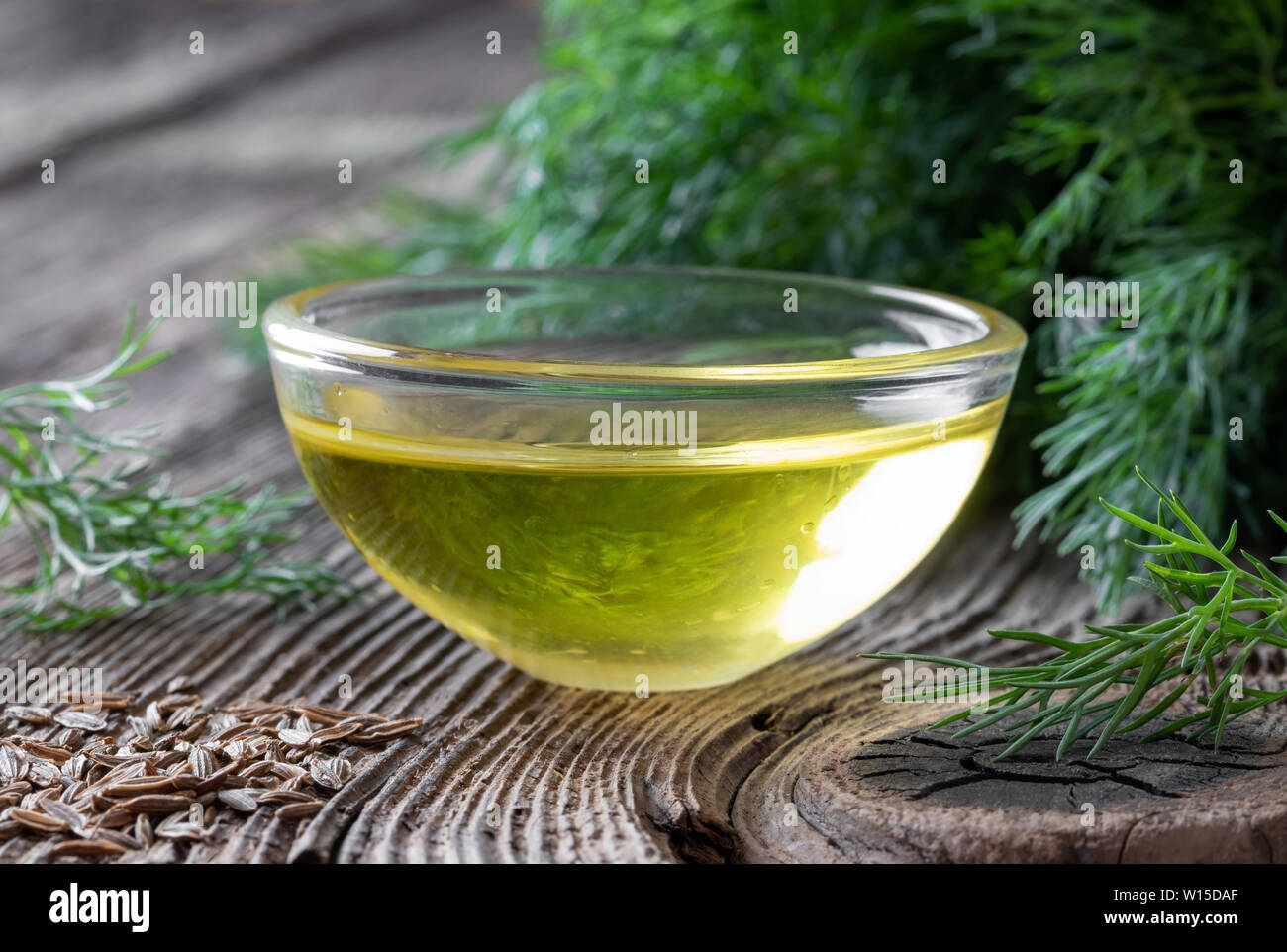 A bowl of dill seed oil with Anethum graveolens seeds and leaves Stock ...