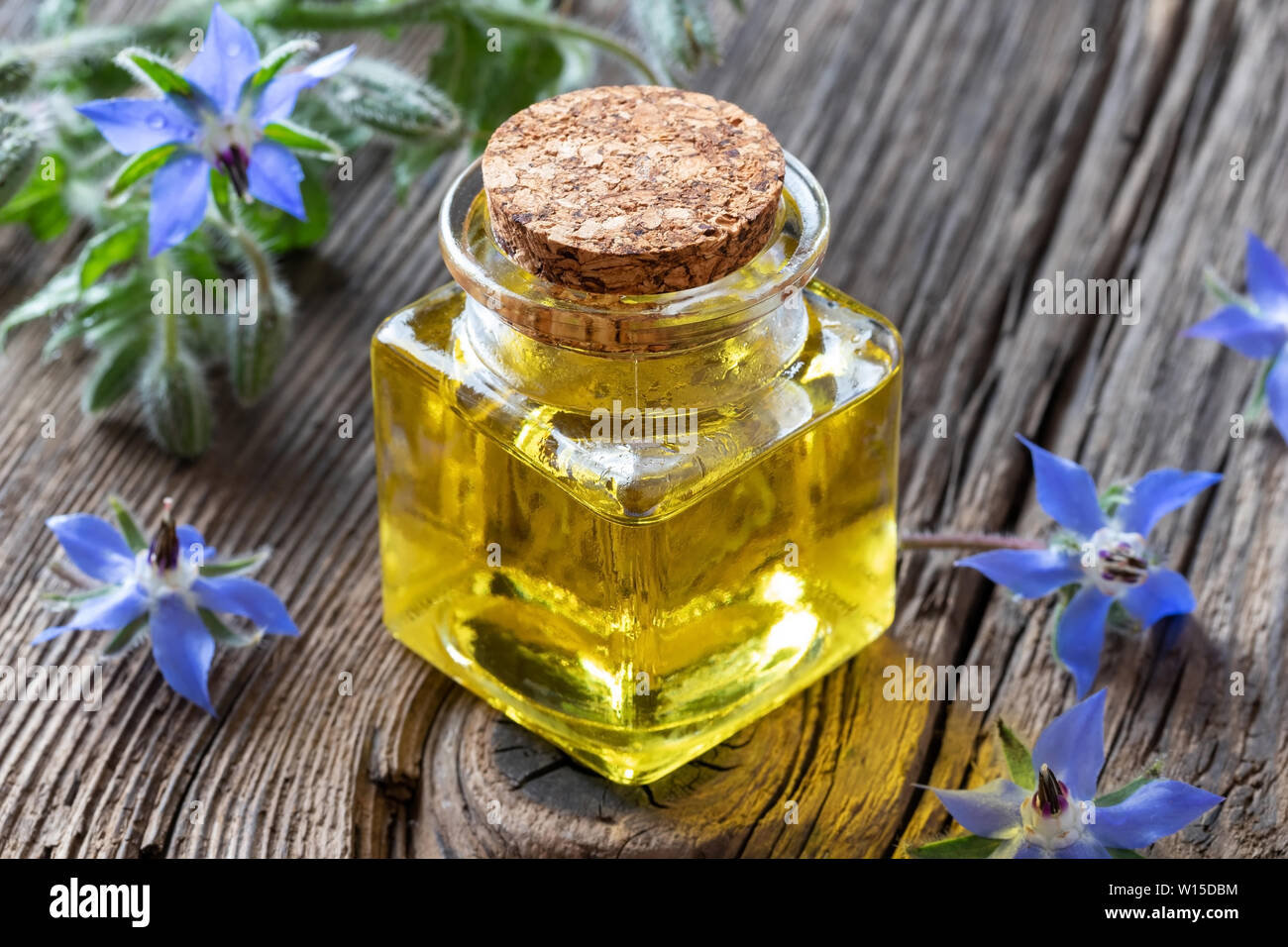 A bottle of borage oil with fresh blooming plant Stock Photo - Alamy