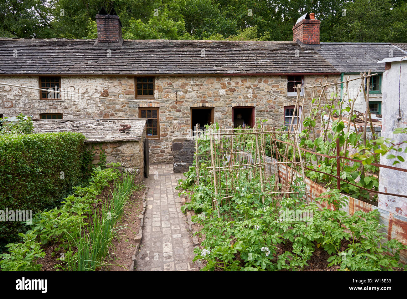 Back gardens of the Rhyd-y-car cottages, National Museum of History, St ...