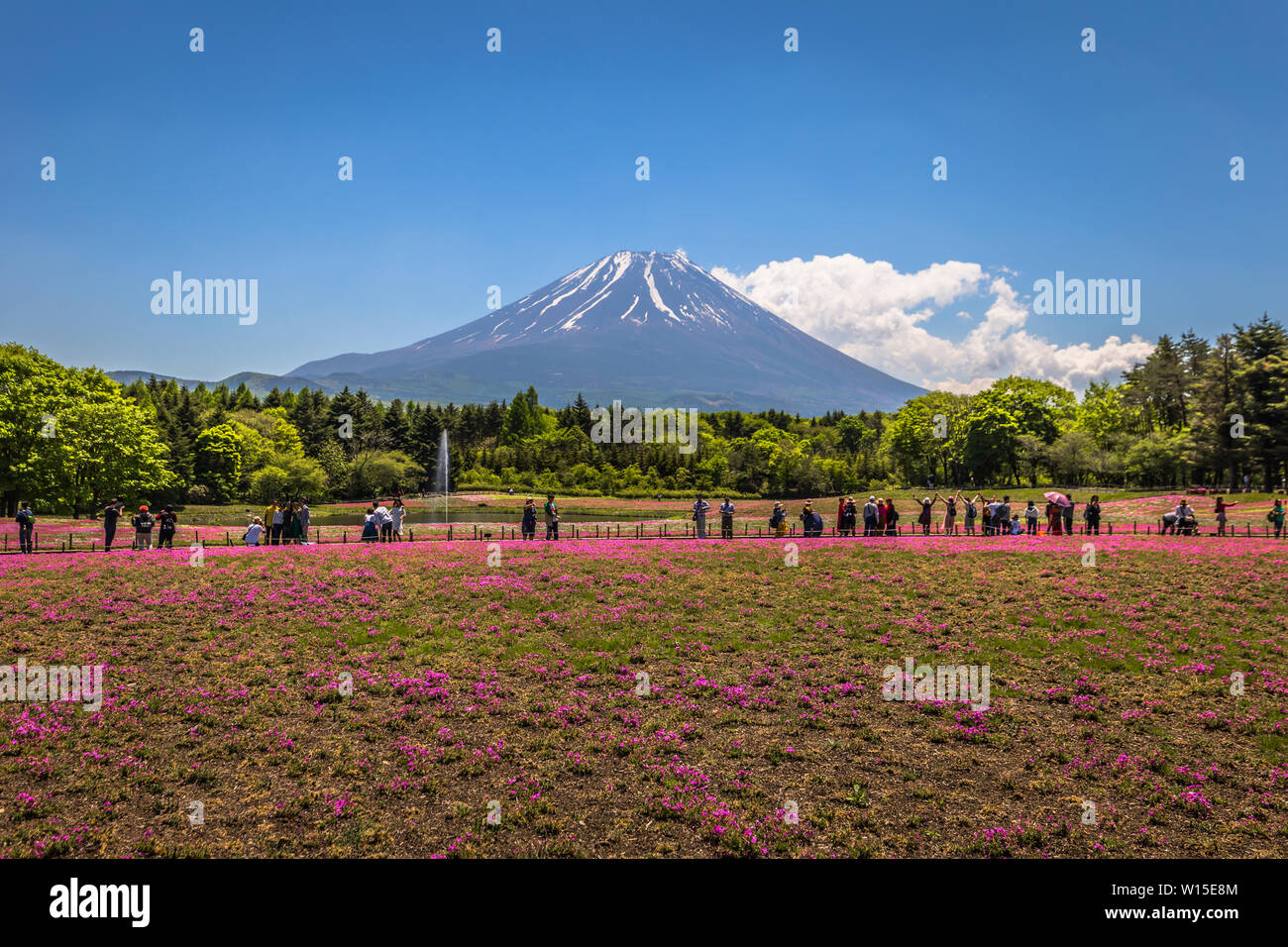 Fuji matsuri hi-res stock photography and images - Alamy