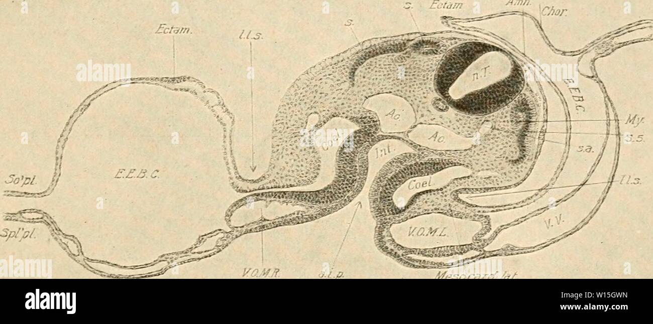 Turne history hi-res stock photography and images - Alamy