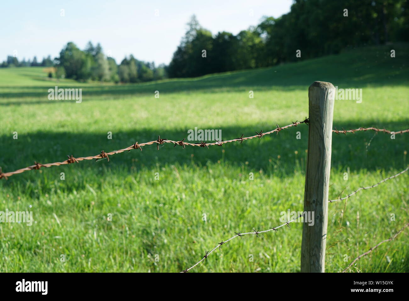 A barbed wire protects the game from walkers in Bavaria Stock Photo - Alamy