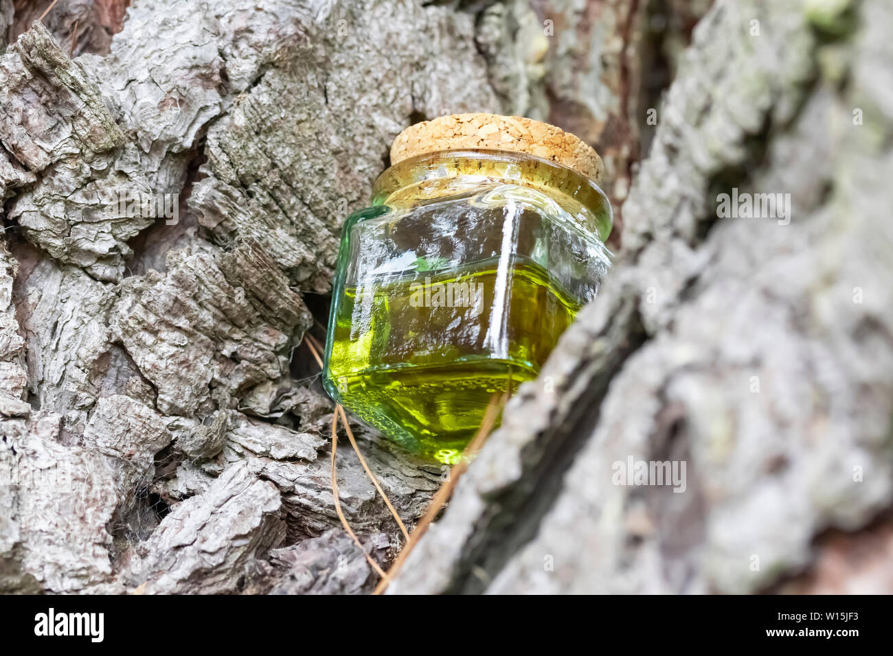 Shea tree bark hi-res stock photography and images - Alamy