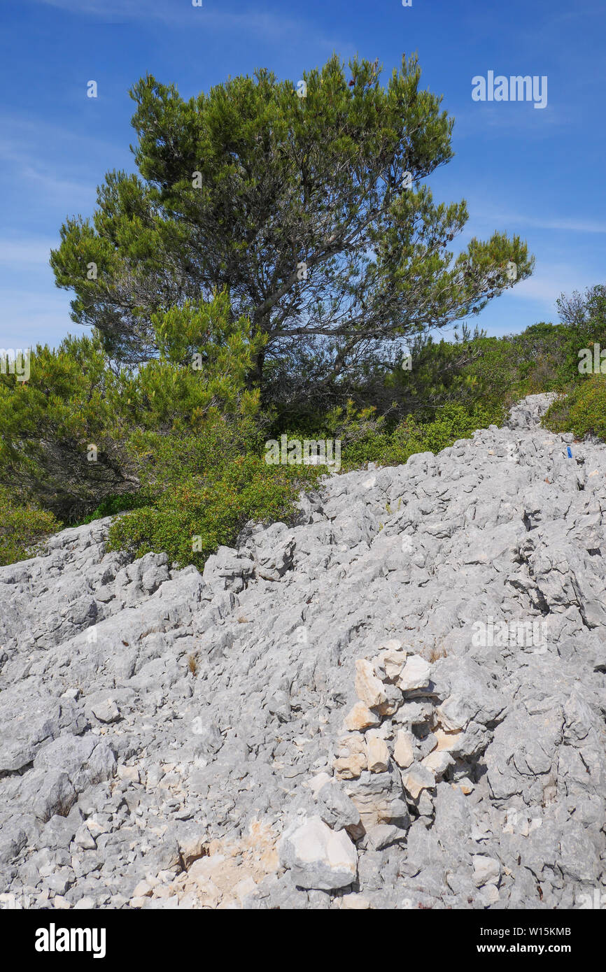 Baou hi-res stock photography and images - Alamy