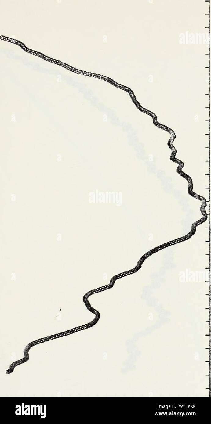Archive image from page 164 of Determination of land elevation changes ...