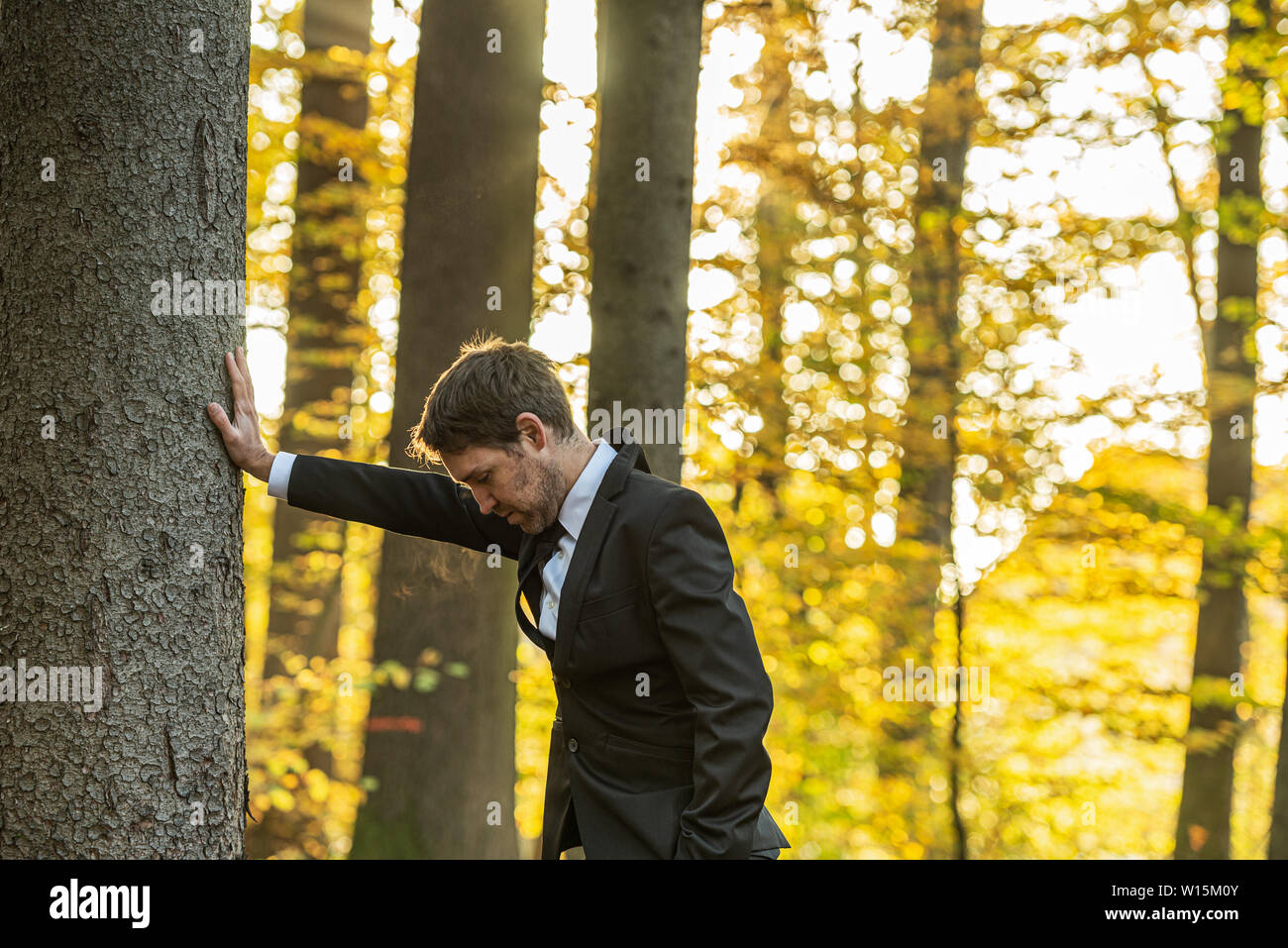 Young businessman in a suit leaning with his arm on a tree with his ...
