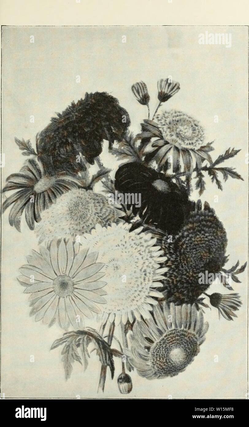 Archive image from page 166 of Descriptive illustrated catalogue of new ...