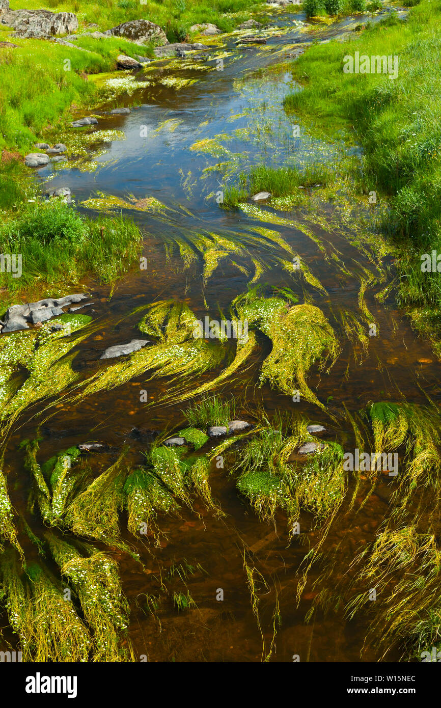 Garciaz river, Garciaz, Las Villuercas, Caceres, Extremadura, Spain ...